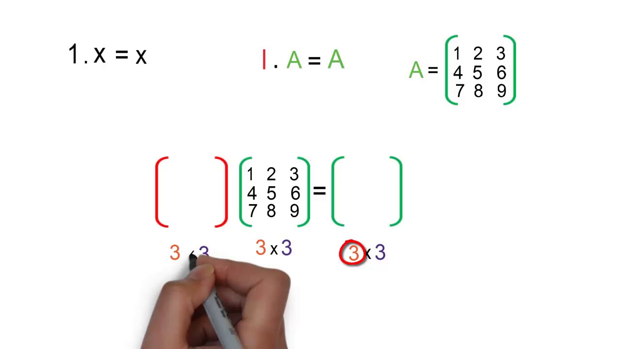 Comprendiendo la matriz unitaria en la economía actual | SanPani.ES
